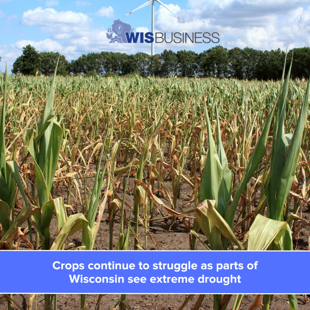 Crops continue to struggle as parts of Wisconsin see extreme drought ...